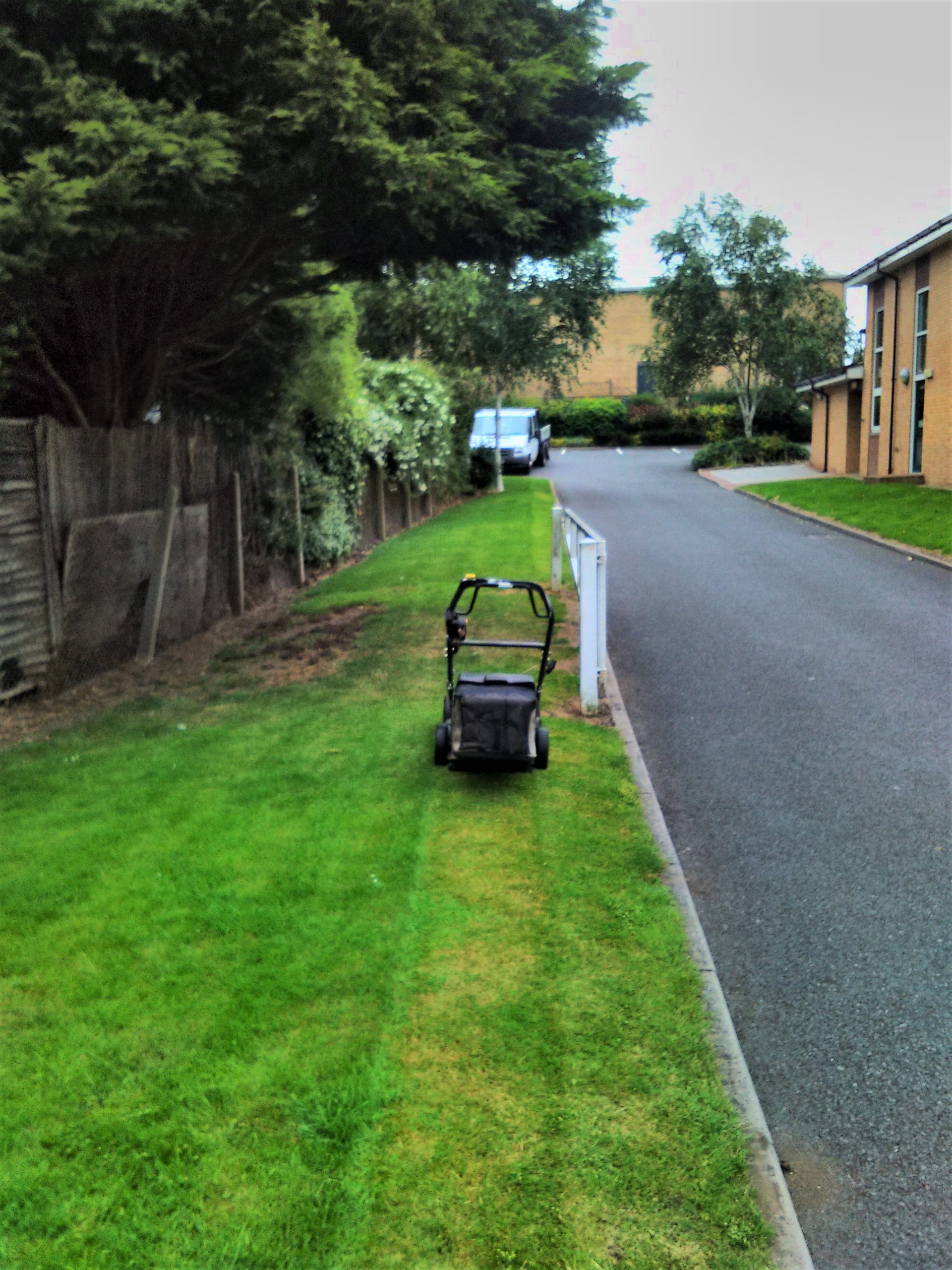 Grass Cutting Rugby - Dead or Alive Trees